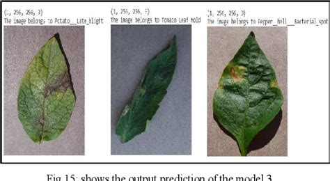 Figure 1 From Deep Learning Based Plant Disease Detection Semantic Scholar