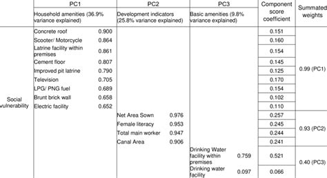 Principal Component Loadings Component Score Coefficients And Summated