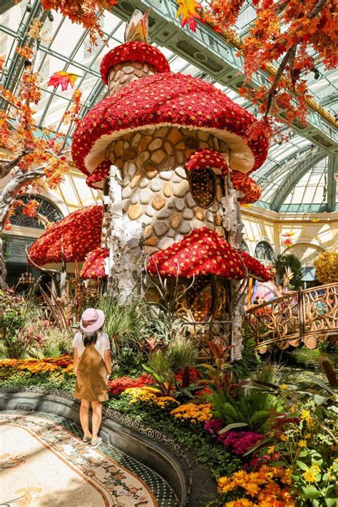 Bellagio Conservatory And Botanical Gardens Your Complete Guide
