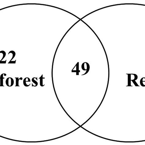 Sharing Of Tree Angiosperm Species Between The Rainforest And The