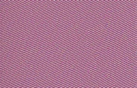 Unmasking The Bias In Ai Exploring Ethical Challenges And Mitigation