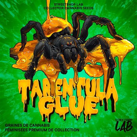 Seed Fem Tarentula Glue Streetshop Lab