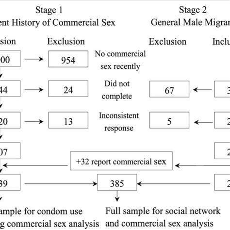 Sampling Stages And Data Management Download Scientific Diagram