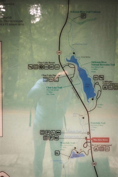 Hiking The Epic Mckenzie River Trail In Oregon Oregon Is For Adventure