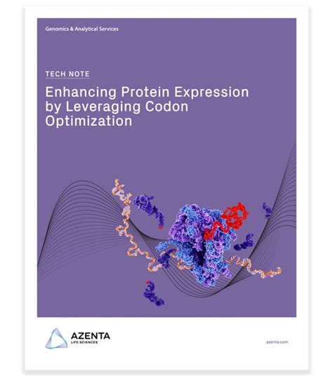 Codon Optimization Tech Note Genewiz From Azenta Life Sciences