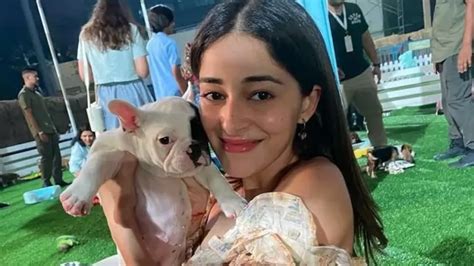 Ananya Panday Christmas