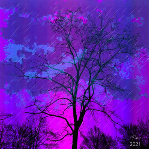 Dry Forest By Papilio Pulveris On Deviantart