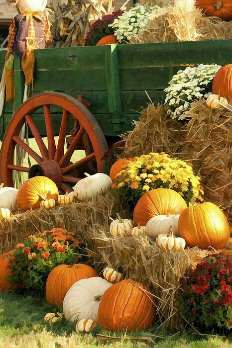 Fall Pumpkin Decorations Pumpkin Patch Pictures