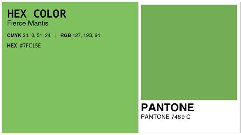 Hex 7fc15e To Pms Code Pantone 7489 C Conversion Chart Pms Solid Coated