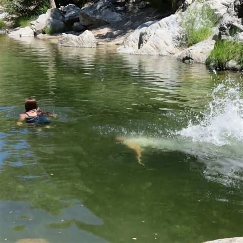 Arroyo Seco Campground And Group Sites Camp One Parks Management