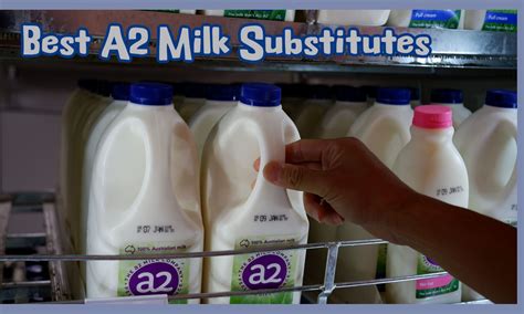 7 Best A2 Milk Substitutes The Coconut Mama
