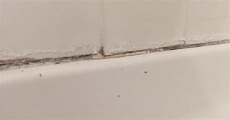 Chipping Away At Hardened Mold Album On Imgur