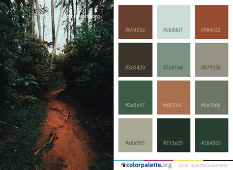 Choose Your Color Palette For A Creative Path In The Woods