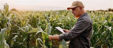 Associate Performance Analyst Intern Agrisciences