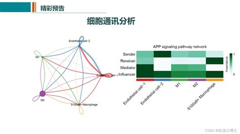 2023 11 28 直播单细胞图表美化 Seurat数据结构 Featureplot Dotplot Vlnplotnebulosa如何分组 Csdn博客
