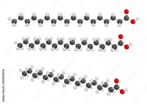 Molecule Of Stearic Acid Set Of Views Molecular Formula C18h36o2