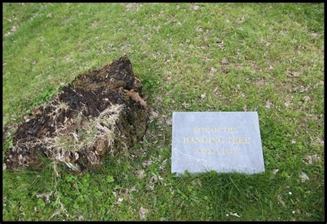 The Famine Pit And The Hanging Tree The Rambling Wombat