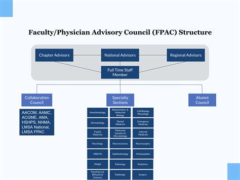 Lmsa Fpac Advisors And Consultants Lmsa Facultyphysician Advisory Council