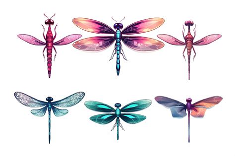 Premium Vector Dragonfly Vector Set Collection Graphic Clipart Design