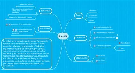 Mapas Mentales De La Célula 【descargar】