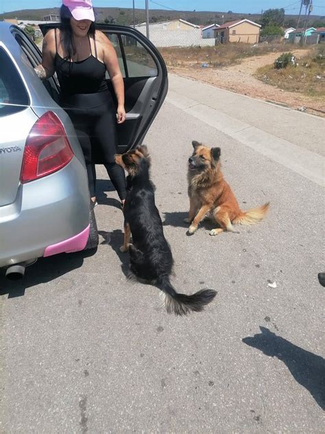 Nicole Blignault New Added A New Photo Nicole Blignault New