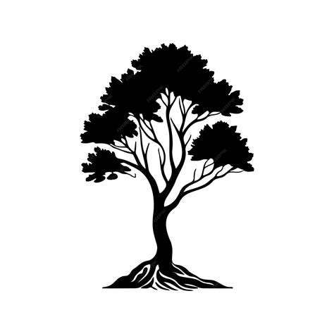 Premium Vector Fagus Sylvatica Icon Hand Draw Black Colour Tree Logo