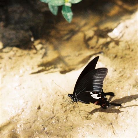 Stream Llt Music Listen To Songs Albums Playlists For Free On Soundcloud