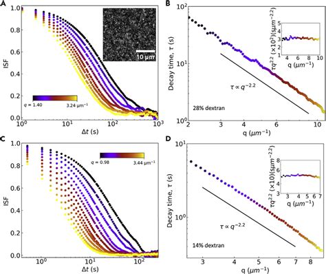 Ddm Analysis Shows That Large Dna Molecules Crowded By Dextran Polymers