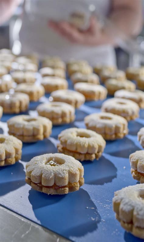 What Is Cleaning Validation Servicon