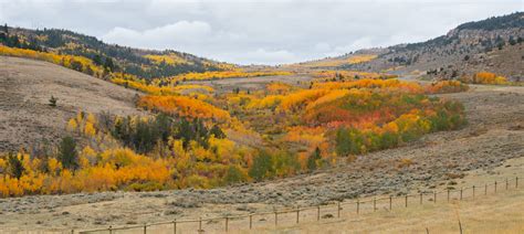 Wyoming Fall Colors Things To Do In Fall In Wind River Country