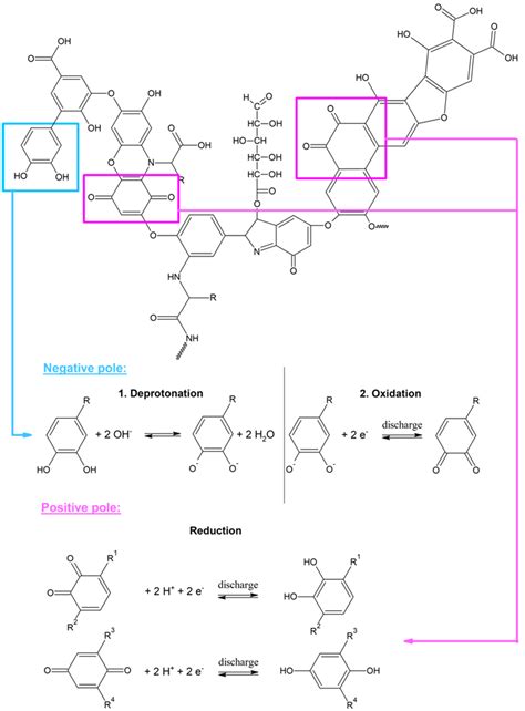 Humic Acid Structure