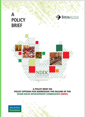 Policy Brief On Policy Option For The Development Of The Nddc Social