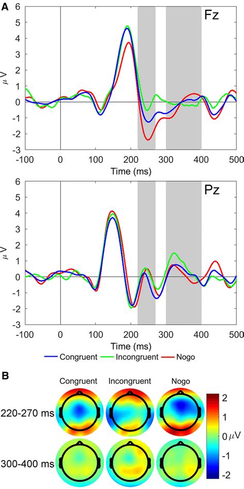 Stimulus Locked Waveforms And Scalp Maps For The S Cluster A Waveforms
