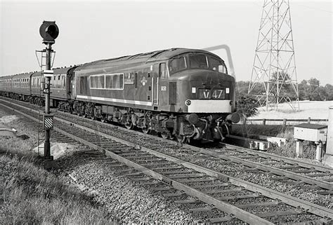 Rail Online Class 45 Peak D59 1964 Near Darlington