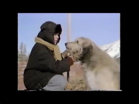 Stone Fox 1987 Tv Movie Buddy Ebsen Joey Cramer Youtube