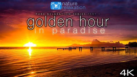 4k Pure Relaxation Golden Hour In Paradise 528hz Positive Energy