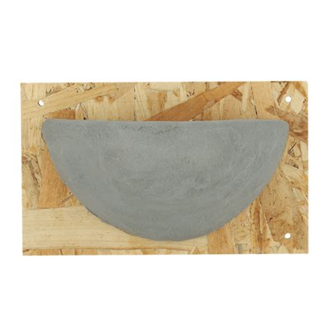 Cuib Rândunică • Societatea Ornitologică Romană