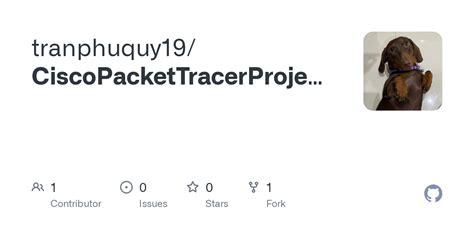 GitHub Tranphuquy CiscoPacketTracerProjects