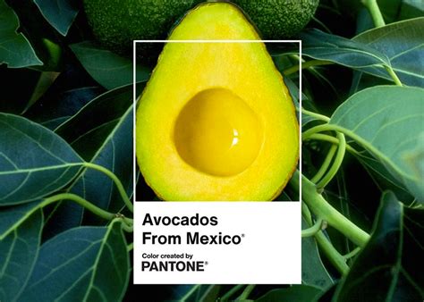 Avocado Color Pantone