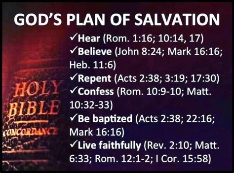 Gods Plan Of Salvation In The Bible