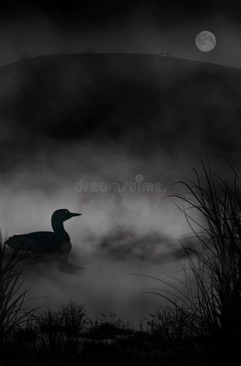A Loon And The Moon Stock Illustration Illustration Of Pond 303961778