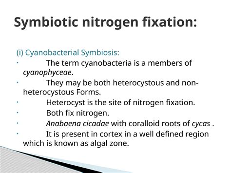 Symbiotic And Non Symbiotic Nitrogen Fixationpptx