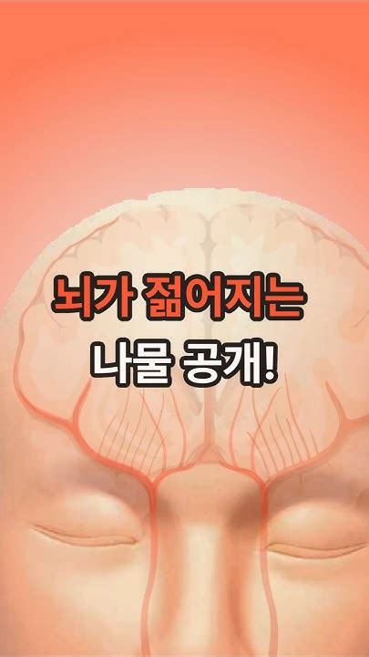 이 나물 매일 먹으면 뇌가 10년 젊어진다뇌건강 치매예방기억력향상 항산화식품건강백세프로젝트 Youtube