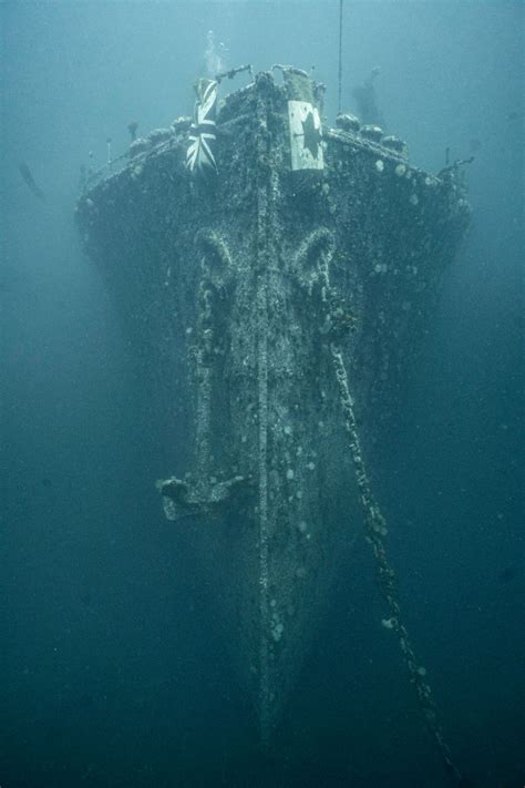 Matt Mandziuk On Linkedin Honing The Photographer Thing Underwater In Newfoundland Recently On The…