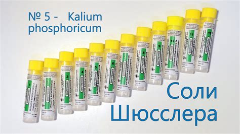Kalium phosphoricum (D6). МОДУЛЯТОР НЕРВНОЙ СИСТЕМЫ