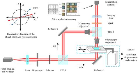 Parallel Phase Shifting Digital Holographic Phase Imaging Of Micro