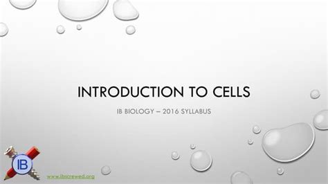 Introduction To Cells Pdf