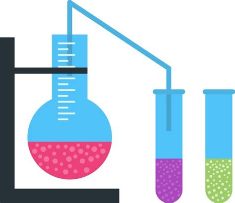 Osmosis Experiment With Semi Permeable Membrane Vector Image