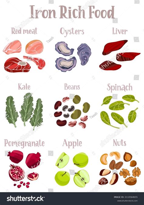 Iron Rich Food Over 511 Royalty Free Licensable Stock Illustrations