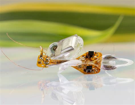 One Indestructible Bug In A Soft Robotic Body Asme